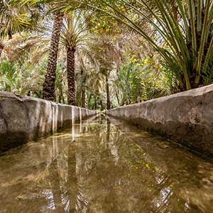 The Authority of Social Contribution - Ma’an launches Abu Dhabi Gives ...