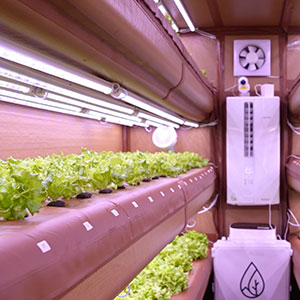Abu Dhabi University inaugurates first on-campus AirFarm