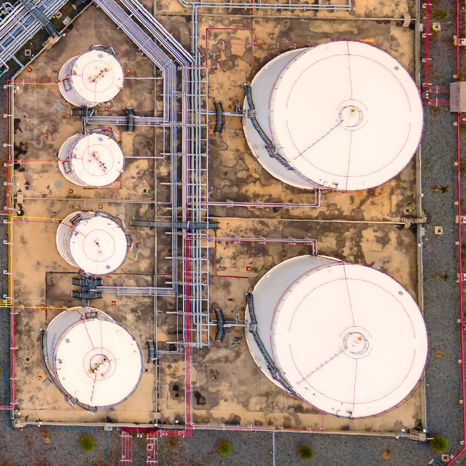 دائرة التنمية الاقتصادية – أبوظبي تتعاون مع مجموعة «إكس مايل» لتعزيز ...