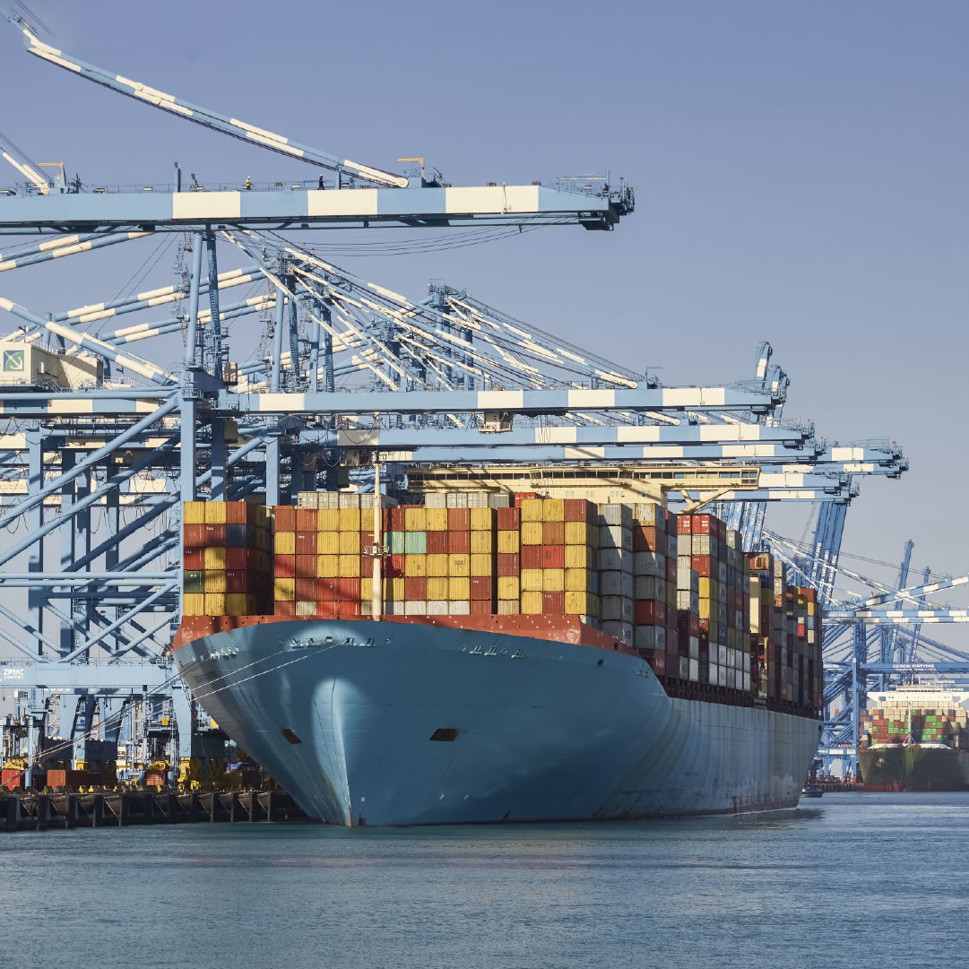 New Economic Collaboration Between UAE and Kuwait Establishes a Virtual ...